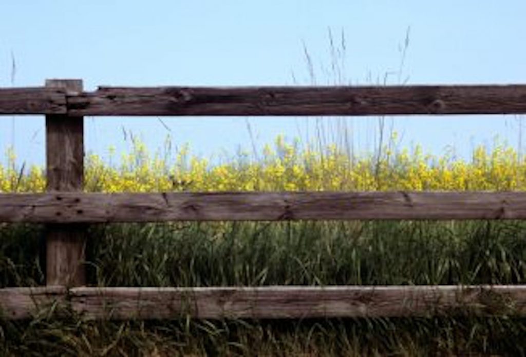 Cheap Fencing Ideas for the Homestead - Countryside